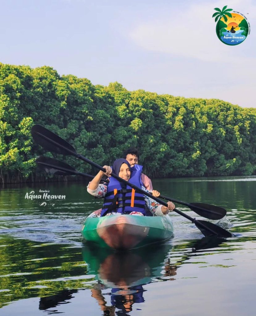 Mangrove Forest Kayaking in Varkala | Backwater Safari